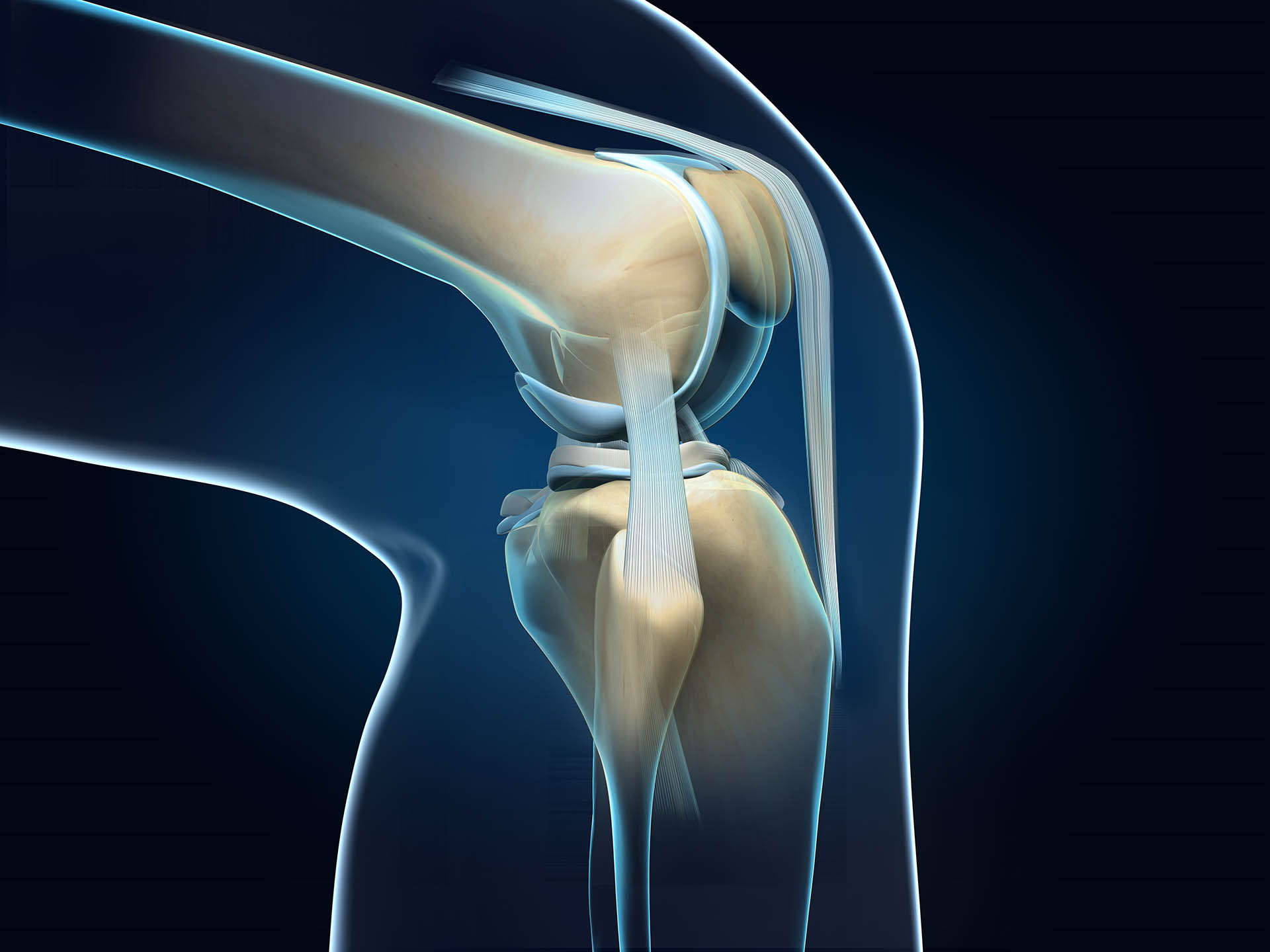 Meniscus Injury Treatment Singapore | Cove Orthopaedic Clinic