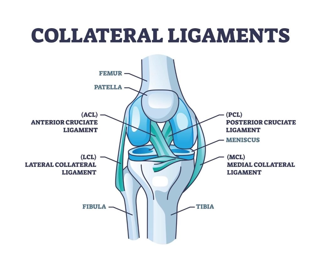 PCL Reconstruction | Cove Orthopaedic Clinic
