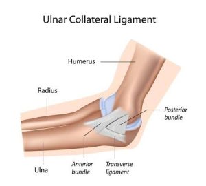 Collateral Ligament Injuries | Cove Orthopaedic Clinic
